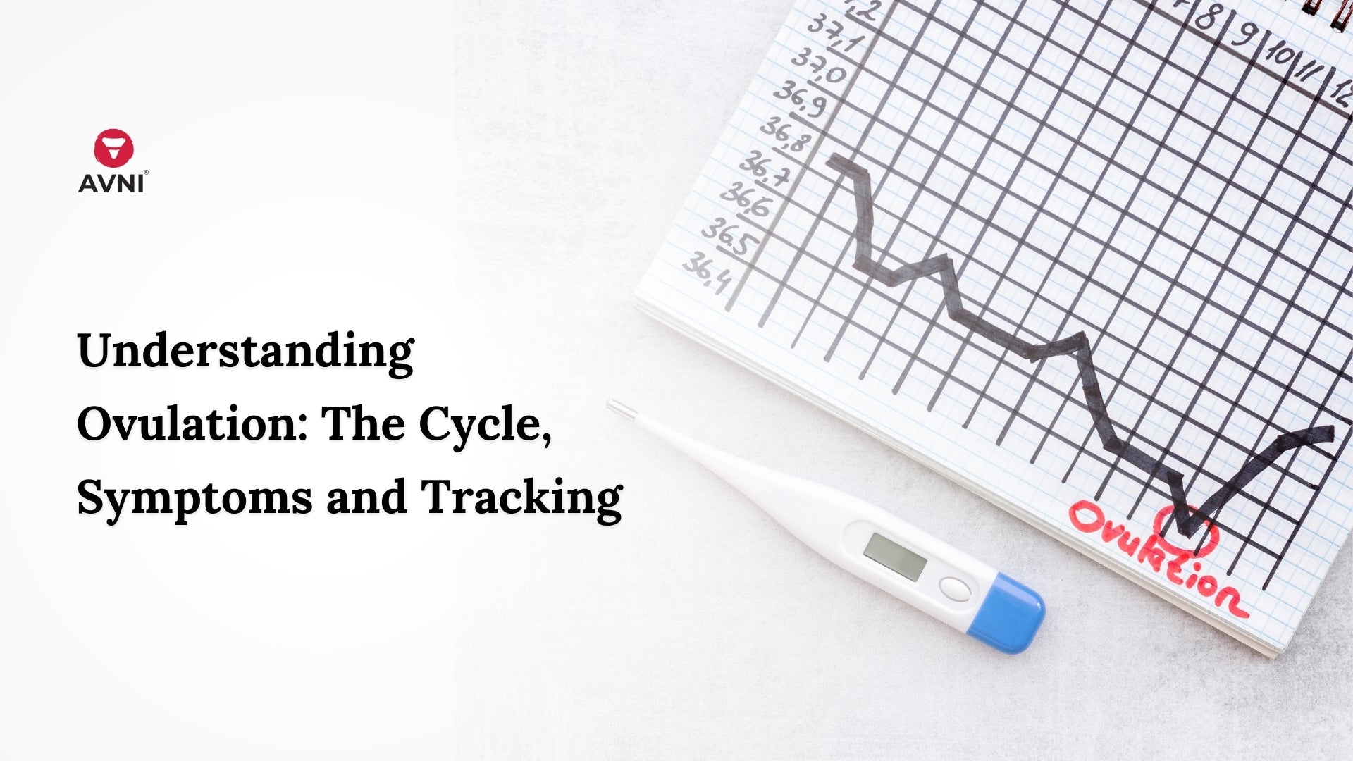 Understanding Ovulation: The Cycle, Symptoms and Tracking